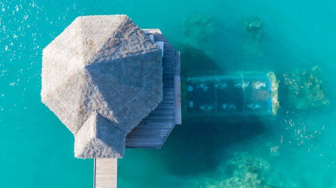 Este restaurante te permite tener una lujosa cena bajo el agua: dónde ...
