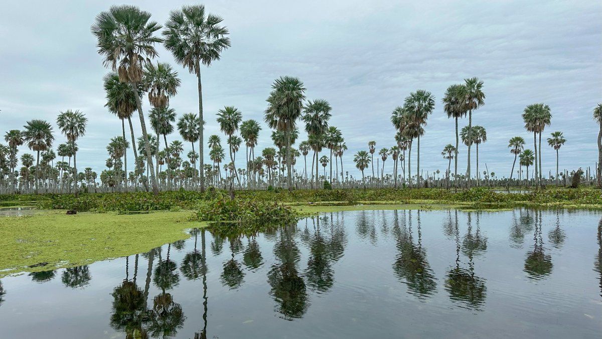Neither Cafayate nor Purmamarca: the jewels of northern Argentina that ...