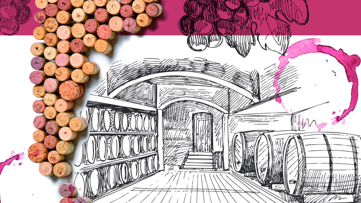 Argentina se potencia con las nuevas rutas del vino