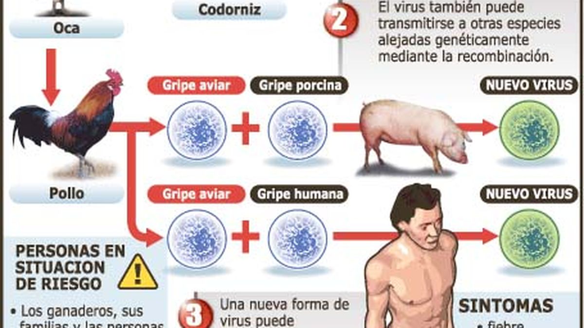 Como se produce el contagio