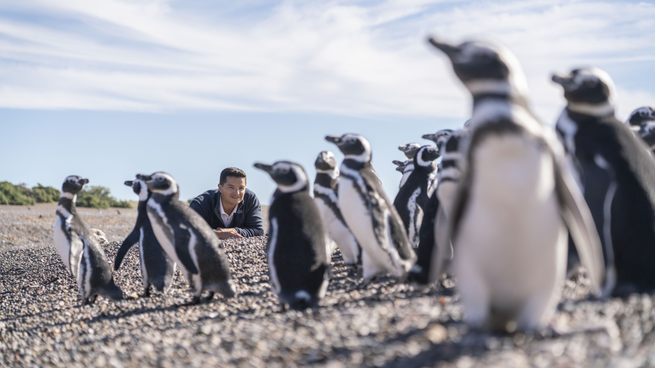 Pablo García Borboroglu, el Messi de la protección de pingüinos recibió ...