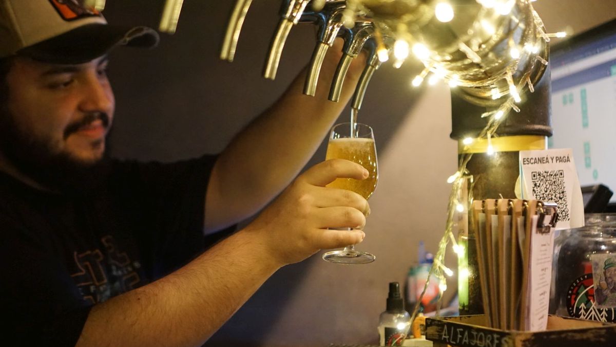 Under 23 entrepreneur: he opened a bar and is a partner in a beer brand ...