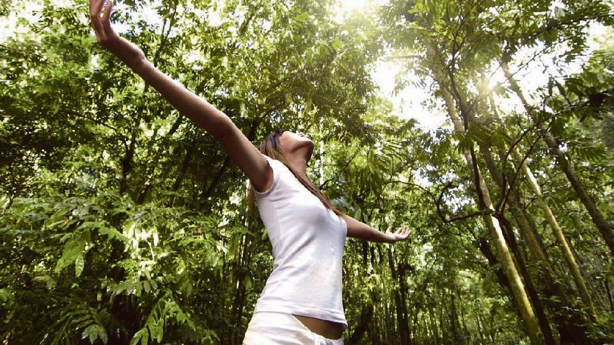 Cómo llevar una vida sustentable